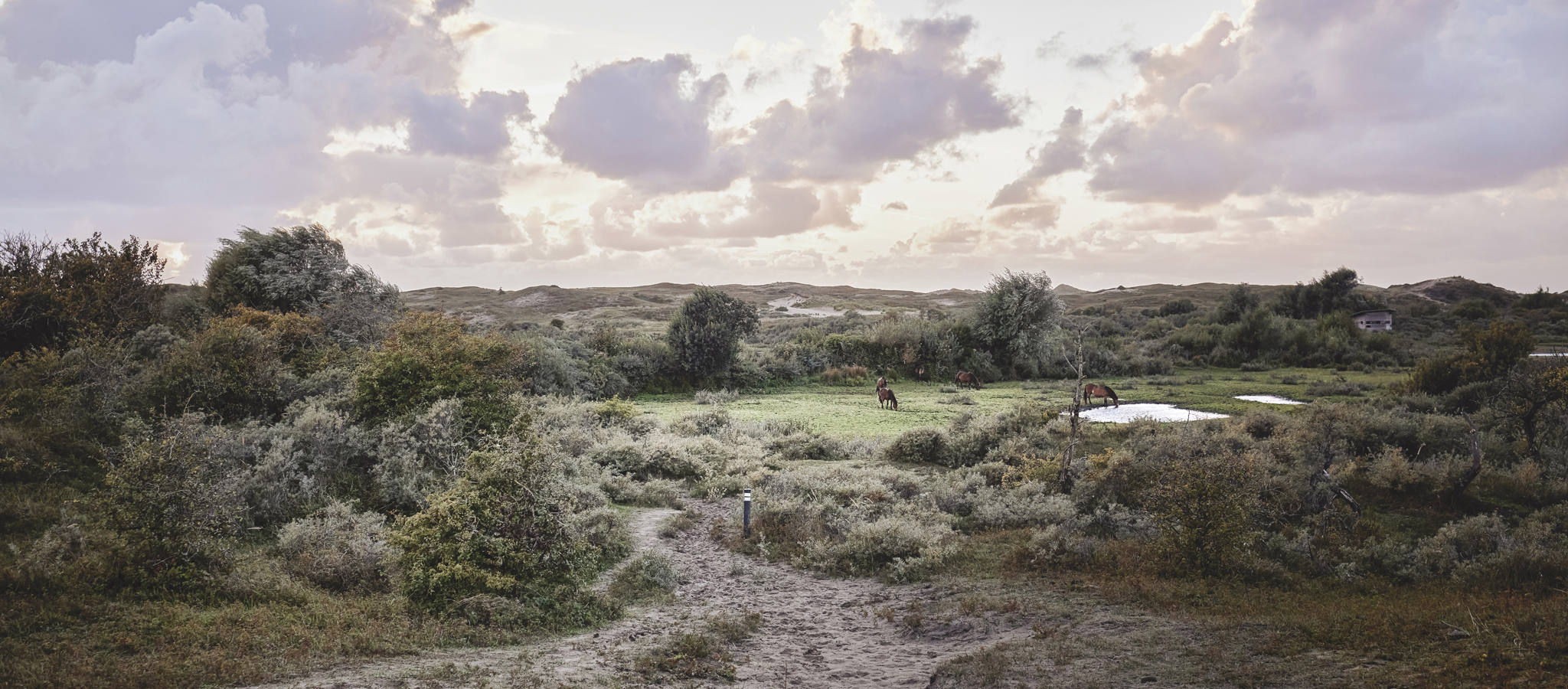 Nieuwe naam | Overduin
